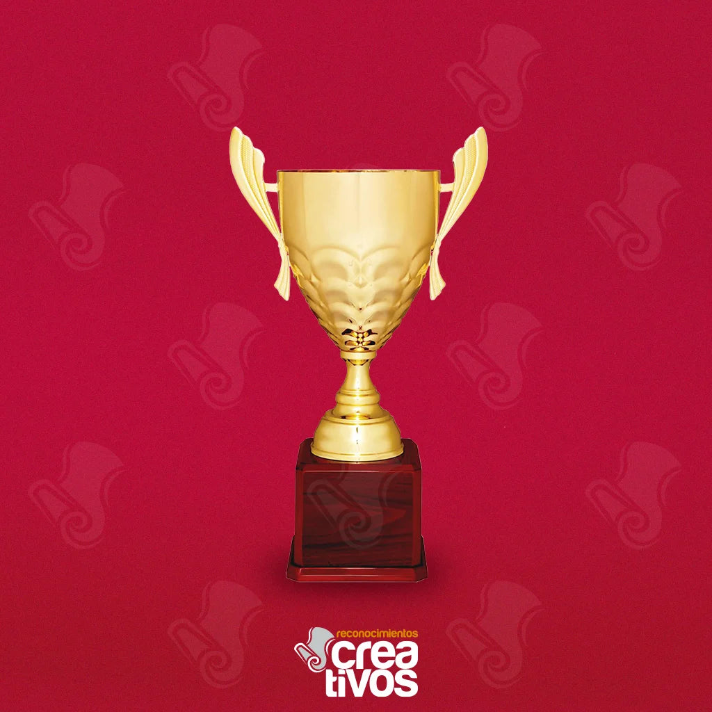 Copa Deportiva Modelo 6